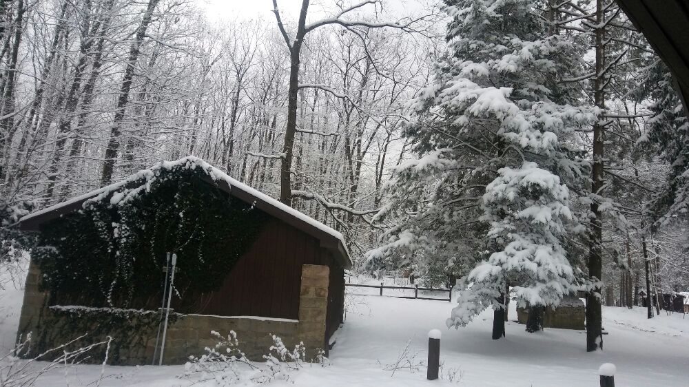 Chestnut Ridge Regional Park & Campground - 10 Photos - Parks - 346 ...