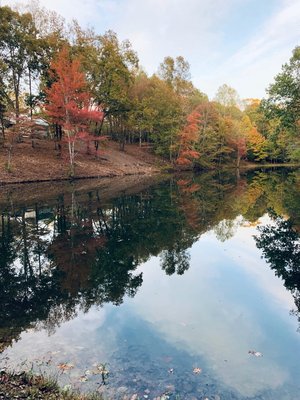 Lyles, TN Map & Directions - MapQuest