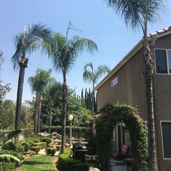 Travis’ Tree Service - 474 Photos & 82 Reviews - Tree Services - 512 E ...