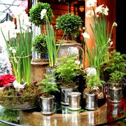 Nursery Overland Park