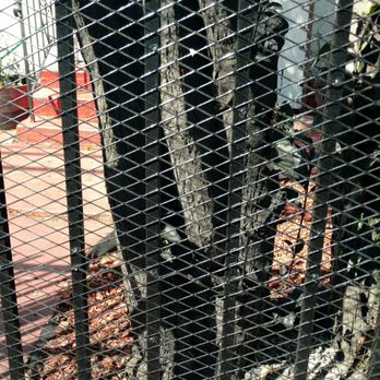 Roman Iron Works - 33 Photos - Fences & Gates - 531 A St, Richmond, CA ...