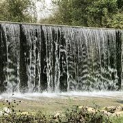 Berry Springs Park And Preserve - 44 Photos & 12 Reviews - Parks - 1801 ...