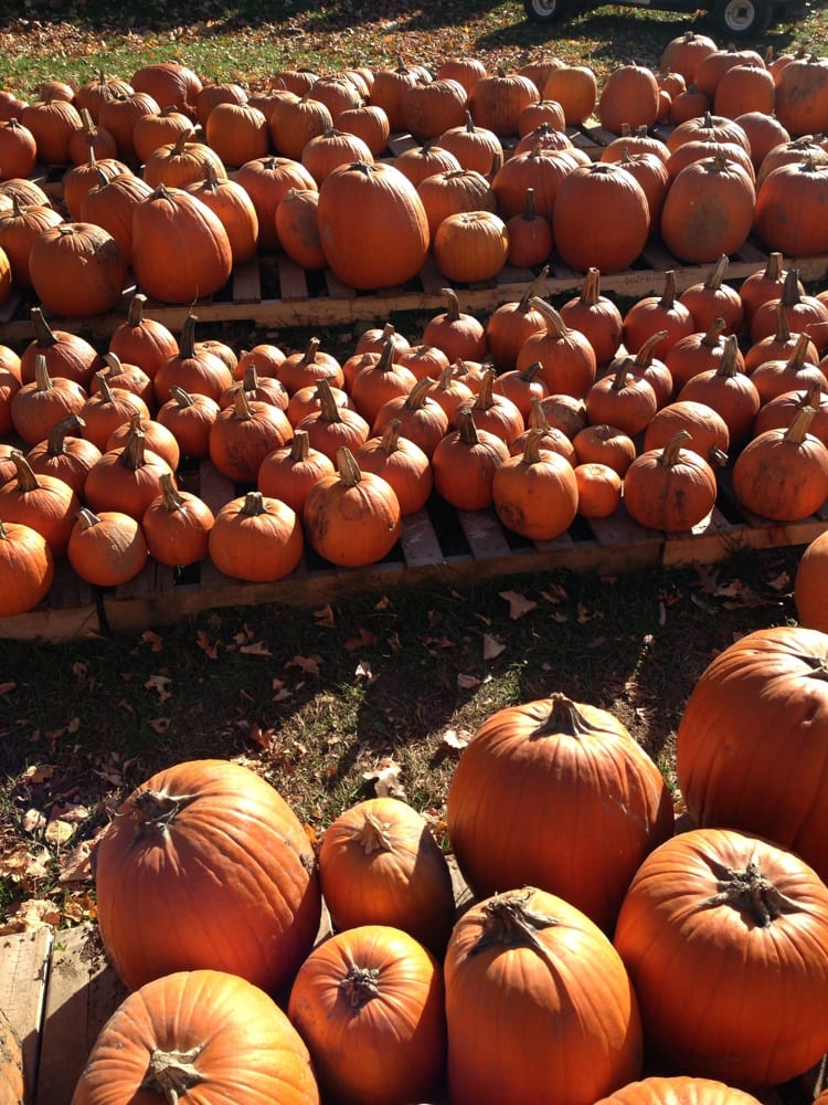 Wilkens Fruit and Fir Farm - 121 Photos & 61 Reviews - Fruits & Veggies ...