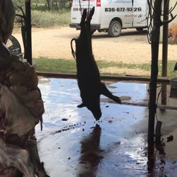 Independence Ranch - 114 Photos & 14 Reviews - Wildlife Hunting Ranges ...