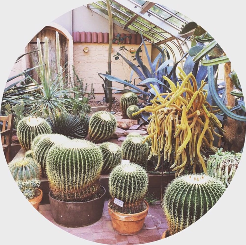 Lamberton Conservatory - 83 Photos & 12 Reviews - Botanical Gardens ...