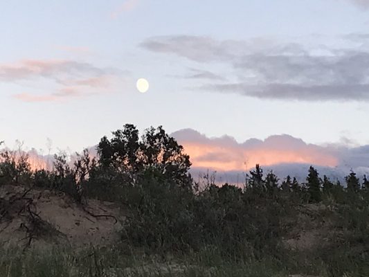 Pellston, MI Map & Directions - MapQuest