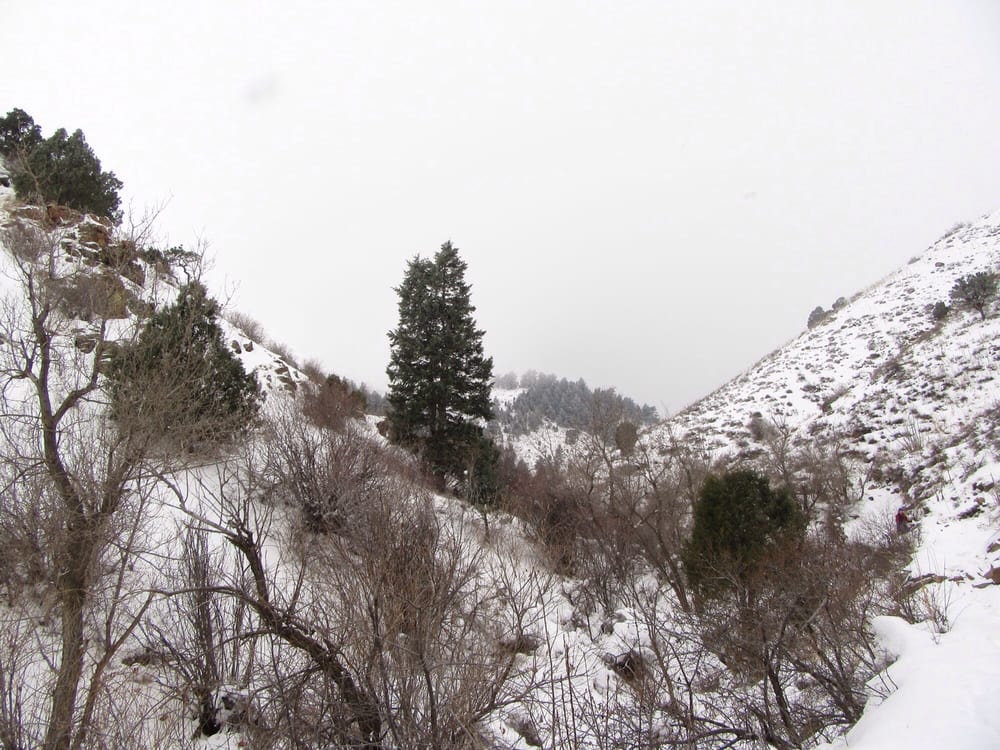 Apex Trail - 24 Photos & 19 Reviews - Parks - Heritage Rd, Golden, CO ...