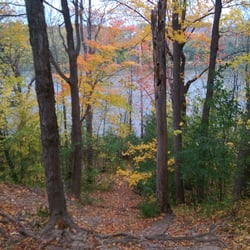 Scout Lake Park - 14 Photos - Parks - 5902 West Loomis Rd, Greendale ...