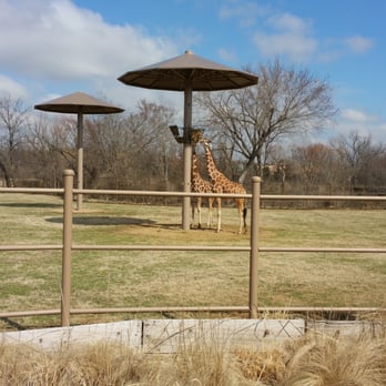 Tulsa Zoo - 309 Photos & 62 Reviews - Zoos - 6421 E 36th St N, Mingo ...
