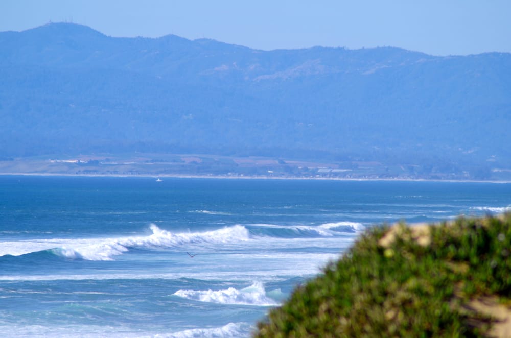 Marina State Beach - 271 Photos & 60 Reviews - Beaches - 3001 Lake Dr ...