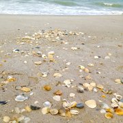 Indialantic Boardwalk and Seashore - 25 Photos & 15 Reviews - Beaches ...