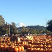 Spooner Farms - 36 Photos & 27 Reviews - Farms - 9710 State Rte 162 E ...