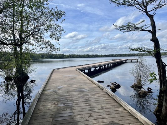 Clarkton, NC Map & Directions - MapQuest