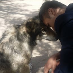 Wolf Mountain Sanctuary - 269 Photos & 99 Reviews - Animal Shelters ...