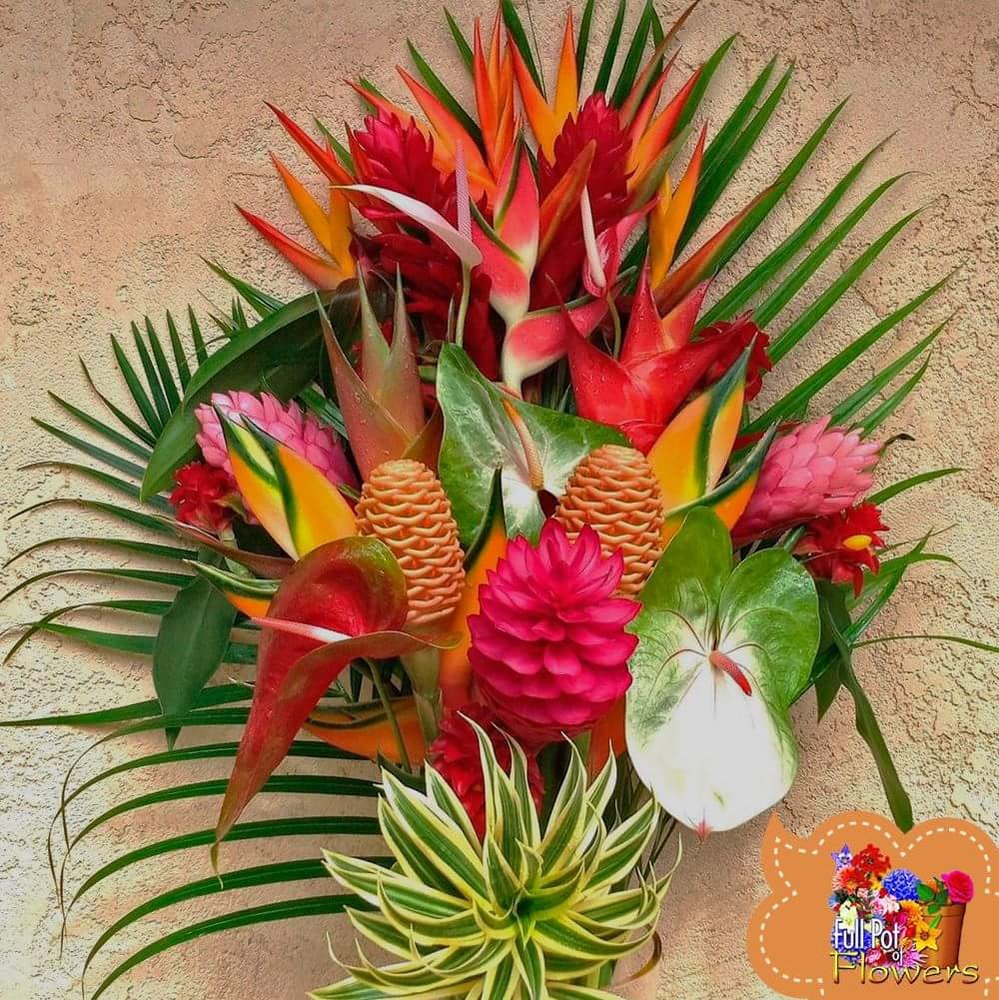 Full Pot of Flowers - Florists - 1516 SW 13th Ct, Pompano Beach, FL ...
