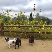 Riley’s Apple Farm - 236 Photos & 131 Reviews - Pick Your Own Farms ...