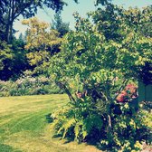 Dunn Gardens - 17 Photos - Botanical Gardens - 13533 Northshire Rd NW ...