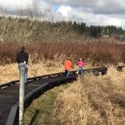 North Creek Park - 48 Photos & 20 Reviews - Parks - 1011 183rd St SE ...