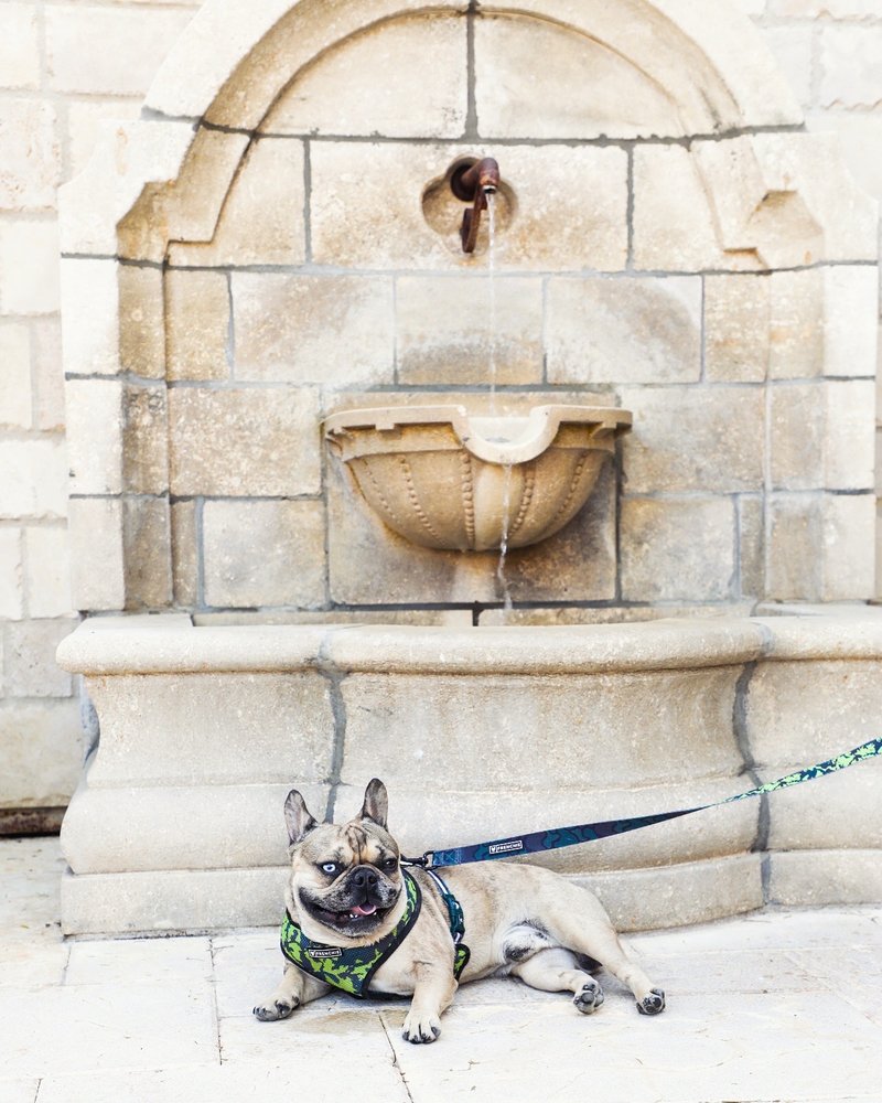 Camp Roberts Army Base in Monterey, CA | MilitaryBases.com