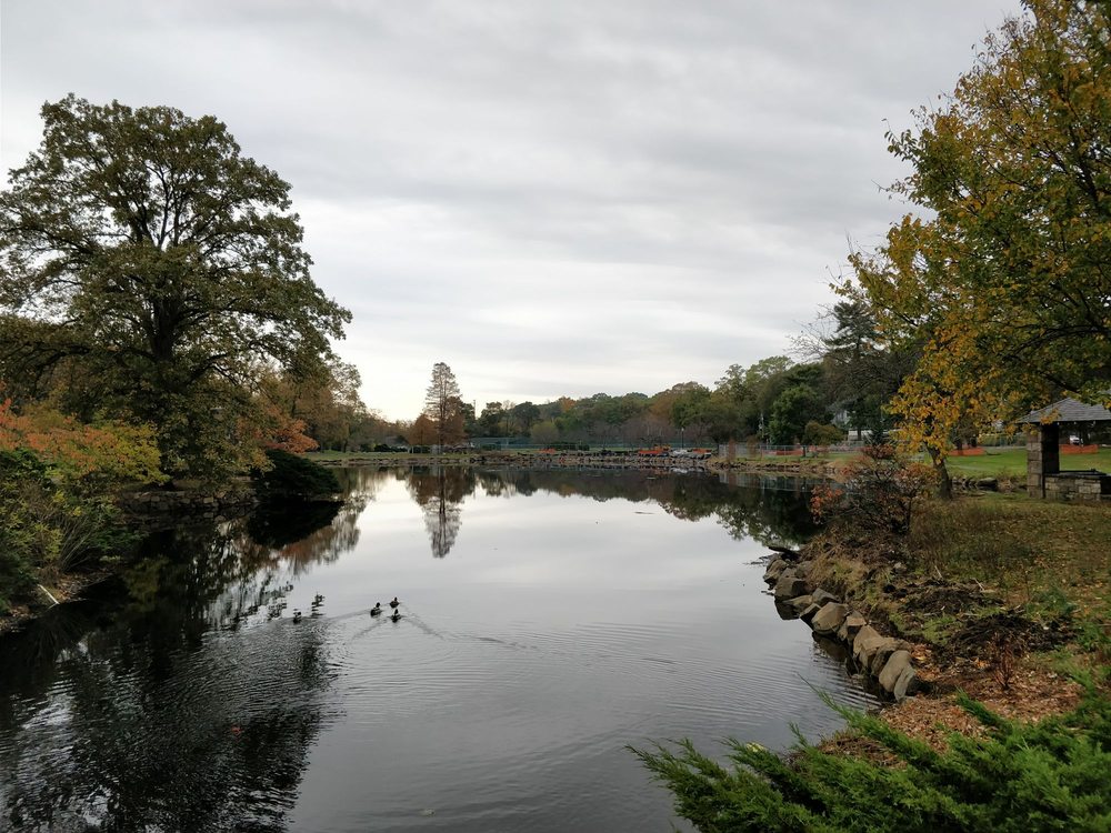 Binney Park - 2019 All You Need to Know BEFORE You Go (with Photos) Parks - Yelp