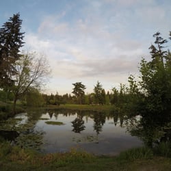 Medina Park - 29 Photos & 10 Reviews - Parks - 8000 NE 12th St, Medina, WA - Yelp