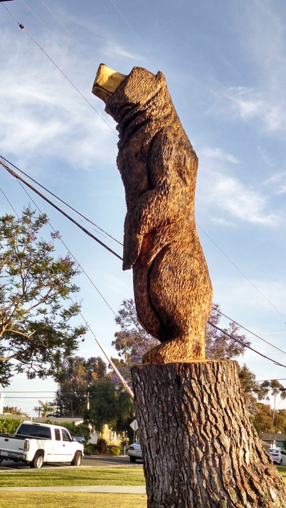 Buddy Todd Park - 56 Photos & 26 Reviews - Playgrounds - Mesa Dr ...