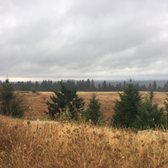 Powell Butte Nature Park - 238 Photos & 62 Reviews - Parks - 16160 SE ...