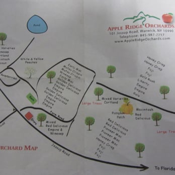 Apple Ridge Orchards - 63 Photos & 20 Reviews - Farmers Market - 101 ...