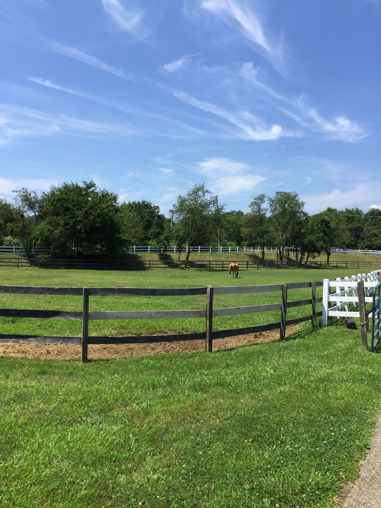 Sandstone Stables - 11 Photos - Horseback Riding - 121 Five Points Rd ...