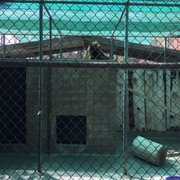 Applegate Park Zoo - 82 Photos & 26 Reviews - Zoos - 1045 W 25th St ...