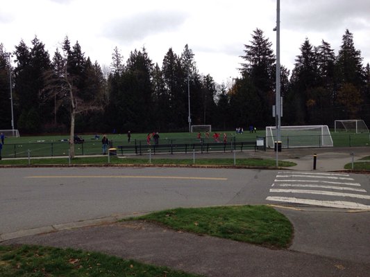 South Surrey Athletic Park - Baseball Fields - 14600 - 20 Avenue ...