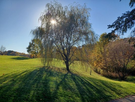 Delmont, PA Map & Directions - MapQuest