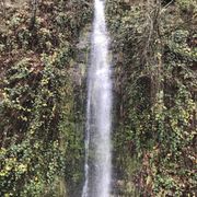 Dabney State Recreation Area - 33 Photos & 15 Reviews - Parks - 30174 E ...