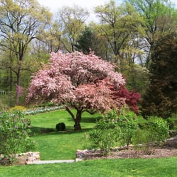 Reeves-Reed Arboretum - 73 Photos - Venues & Event Spaces - 165 Hobart ...