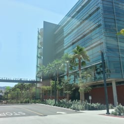 Walt Disney Animation Studios - Professional Services - 1200 Flower St ...
