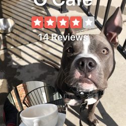 O Cafe - 48 Photos & 35 Reviews - Cafes - 10131 Fair Oaks Blvd, Fair ...