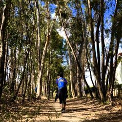 Fullerton Loop Bike Trail - 146 Photos & 73 Reviews - Bikes - 1275 N ...