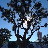 Costco Wholesale - 144 Photos & 152 Reviews - Wholesale Stores - 2001 E ...