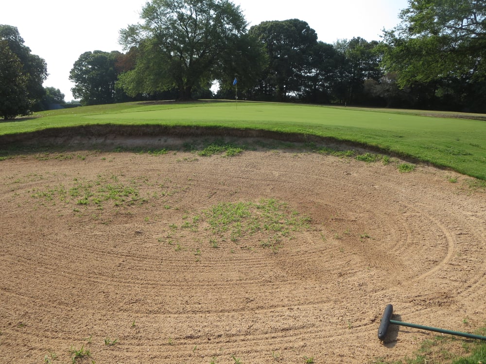 ALFRED TUP HOLMES GOLF COURSE - Updated April 2026 - 160 Photos & 16 ...