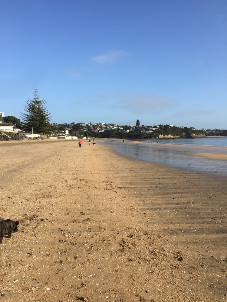 Milford Beach - 27 Photos - Beaches - Milford, Auckland, New Zealand - Yelp