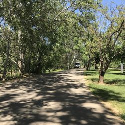 Sycamore Ranch - 25 Photos - Fishing - 5390 State Hwy 20, Browns Valley ...