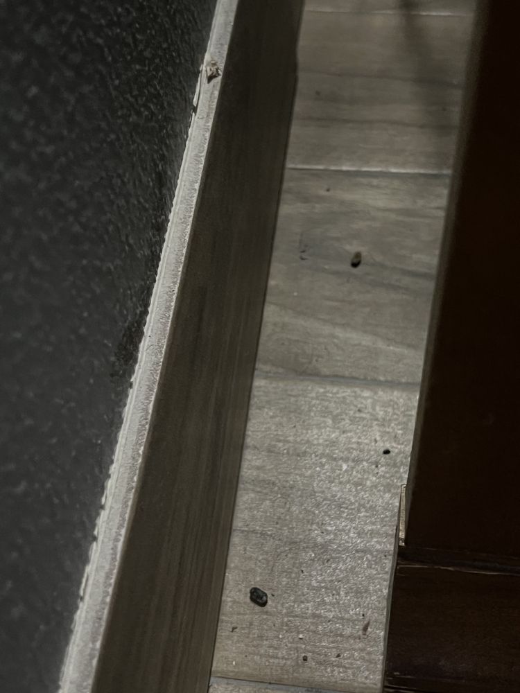 Camp Stanley Storage Activity Army in San Antonio, TX | MilitaryBases.com