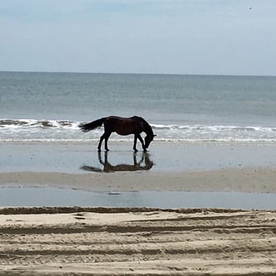 Grandy, NC Map & Directions - MapQuest