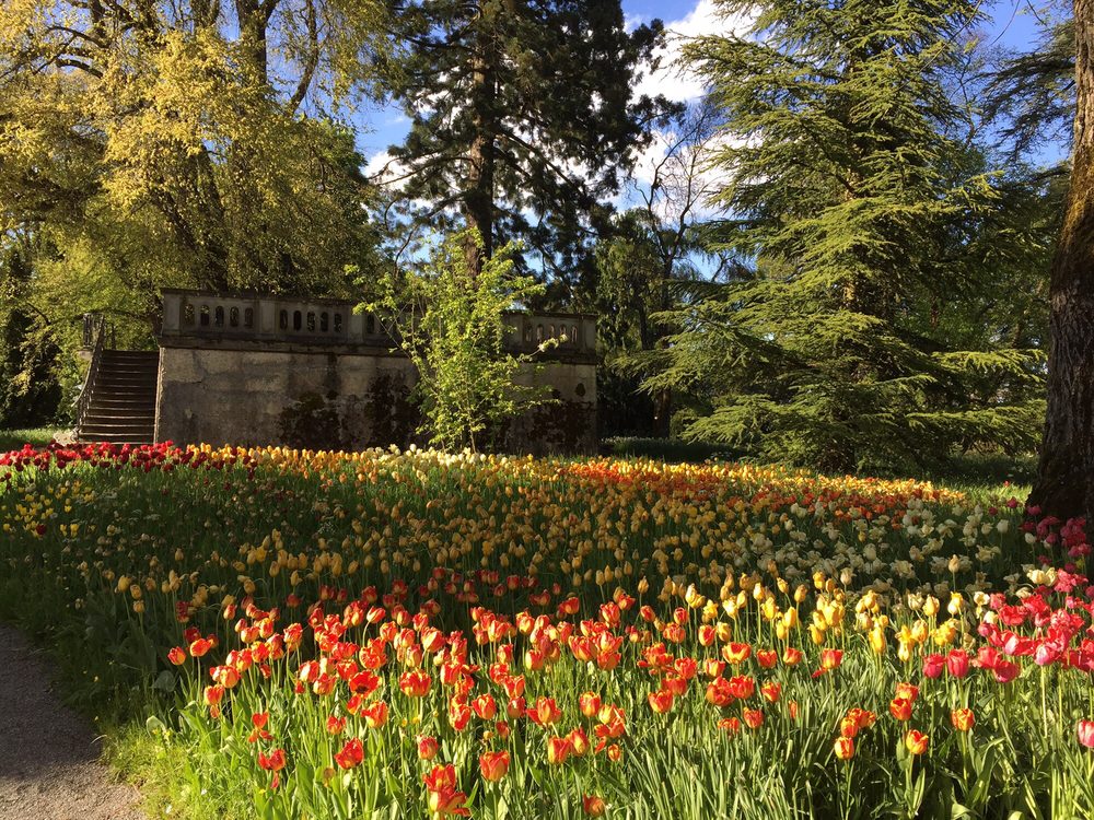 Mainau Island - 2019 All You Need to Know BEFORE You Go (with Photos ...