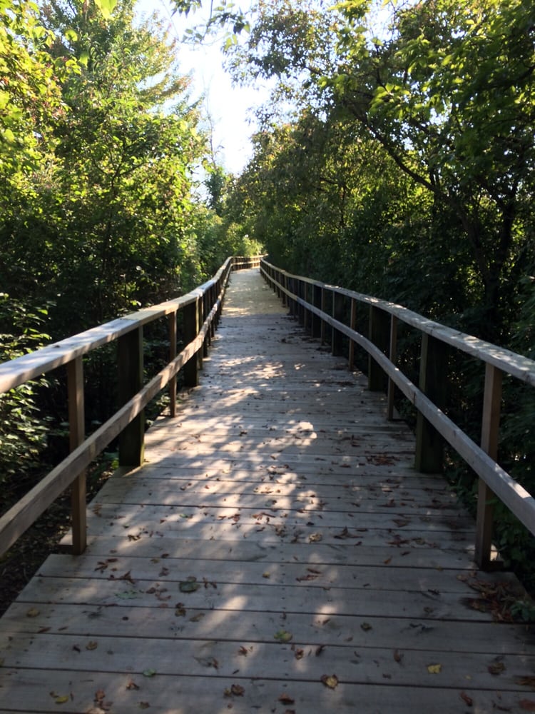 Magee Marsh Wildlife Area - 21 Photos - Parks - 13531 Oh State Route 2 ...