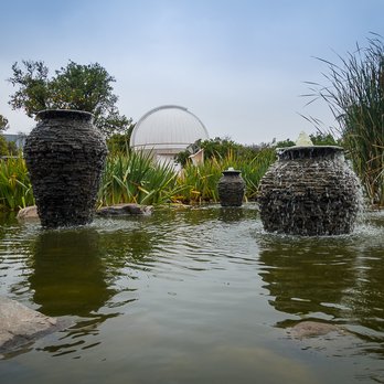 CSUN Pond - 316 Photos & 75 Reviews - Parks - 18111 Nordhoff St ...