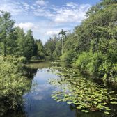 Tree Tops Park - (New) 385 Photos & 71 Reviews - Parks - 3900 SW 100th ...