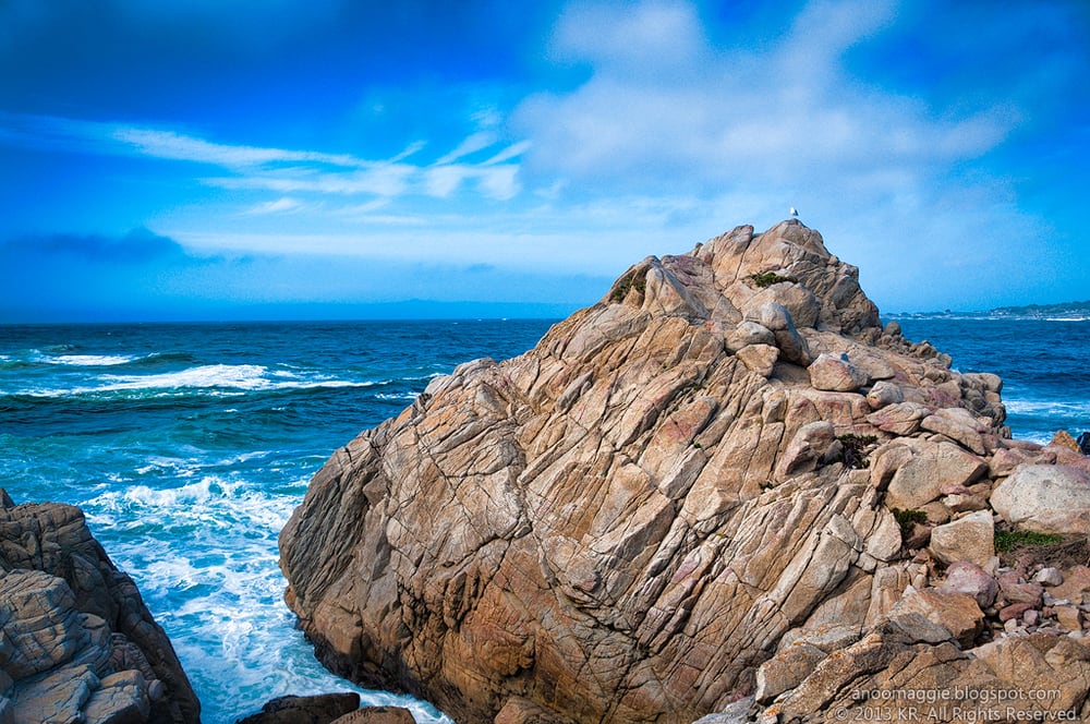 17-Mile Drive Scenic Tour - 1483 Photos & 614 Reviews - Local Flavor ...