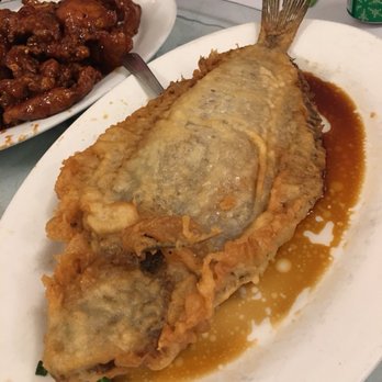 Empero Taste - 468 Photos & 201 Reviews - Chinese - 4052 Balboa St ...