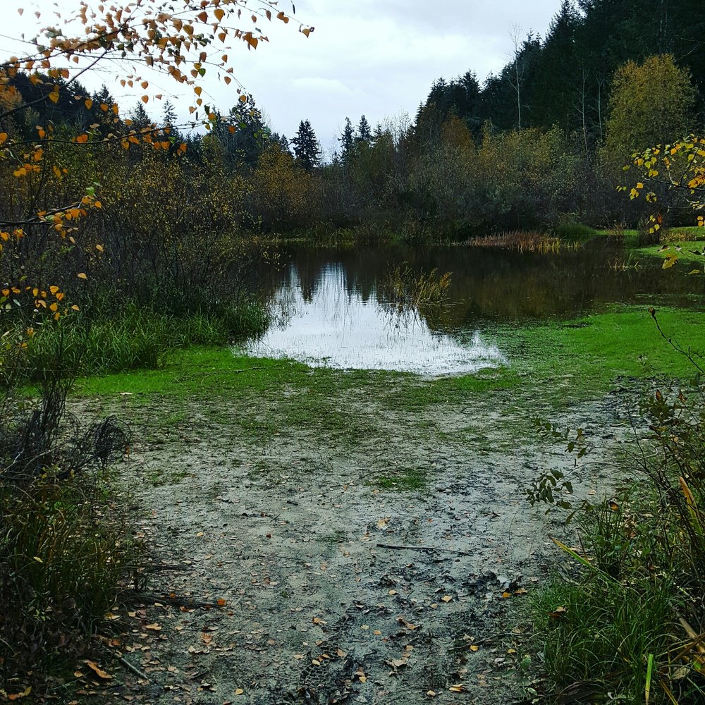China Lake Nature Area - Parks - 1811 S Shirley St, Tacoma, WA - Yelp